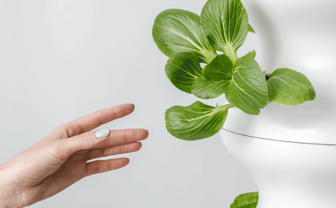 Flanders’ FOOD - Spearhead cluster for the agri-food industry